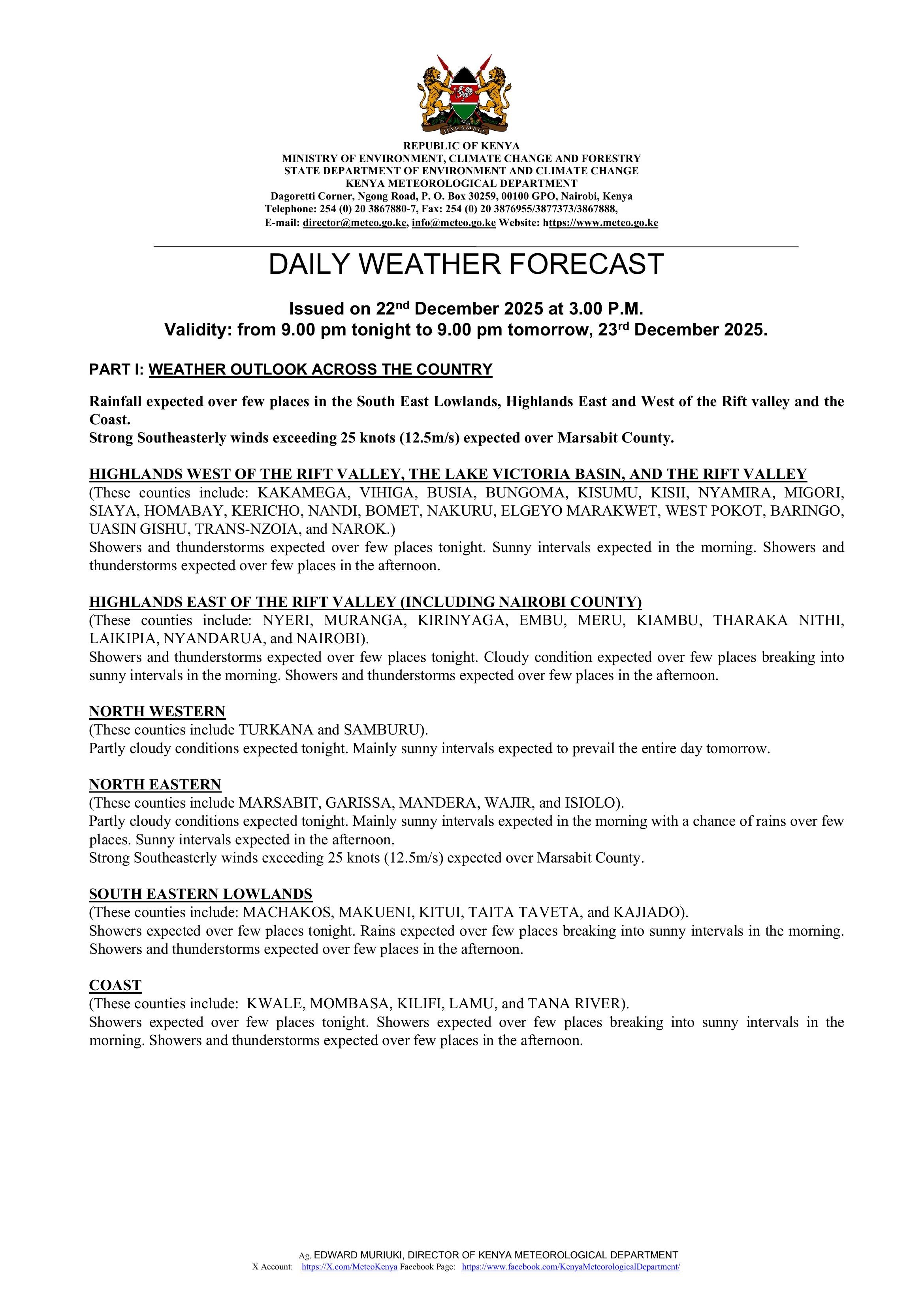 Daily Forecast