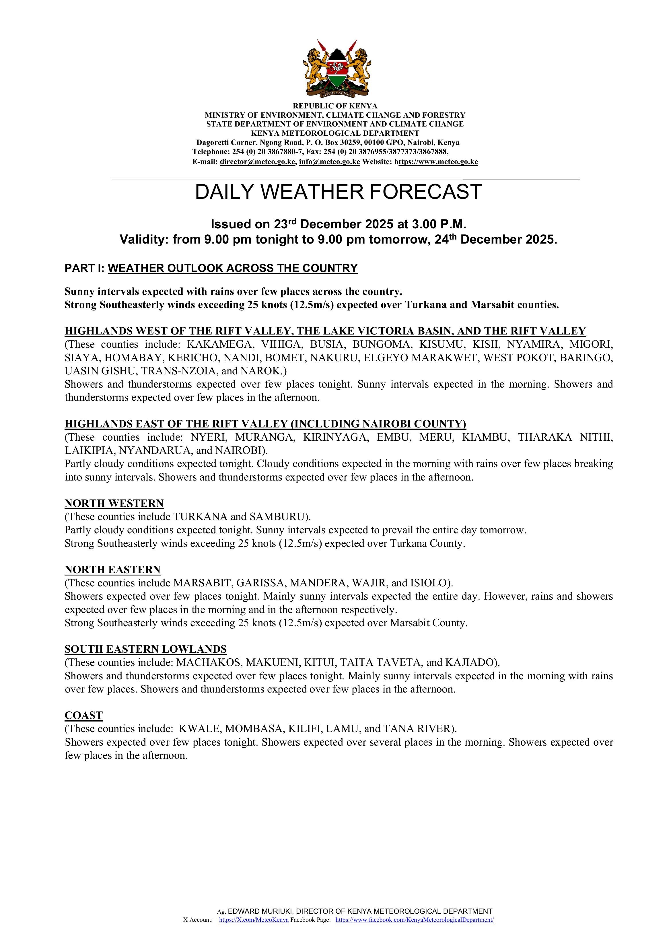 Daily Forecast
